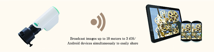 Digital Catch – 株式会社 ミラック光学