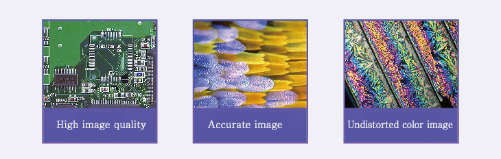 Digital Catch – 株式会社 ミラック光学